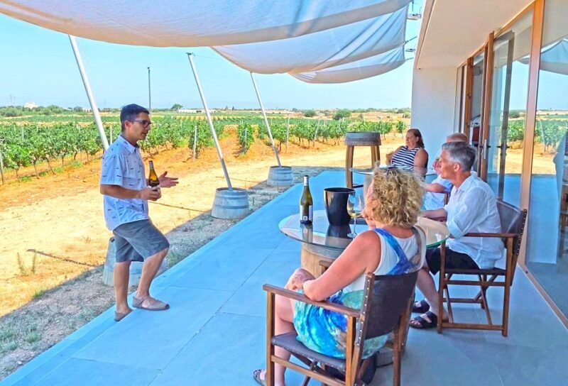 Ciutadella de Menorca: Family Winery Tour with Wine Tasting - Key Points