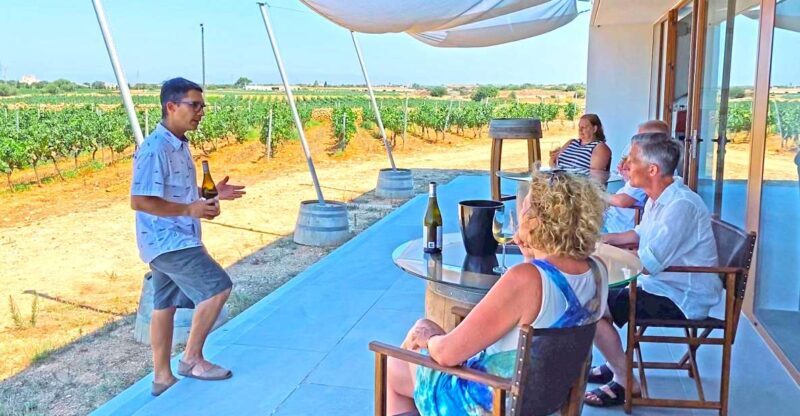 Ciutadella de Menorca: Family Winery Tour with Wine Tasting - Practical Tips for Visitors