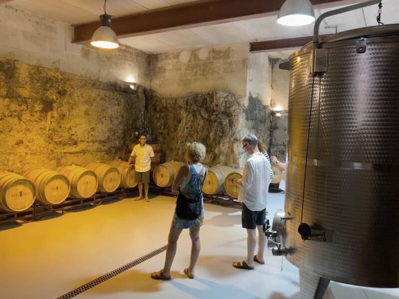 Ciutadella de Menorca: Family Winery Tour with Wine Tasting - The Experience from the Reviews