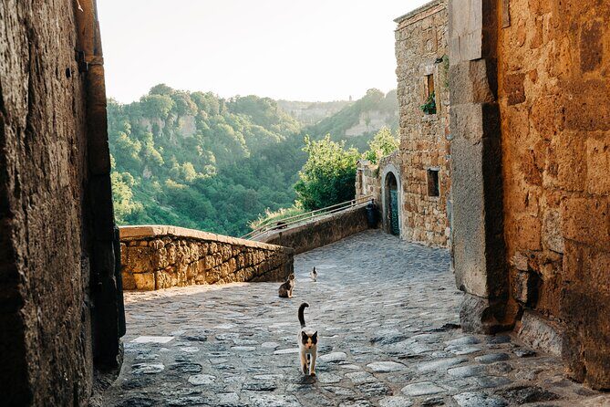 Civita di Bagnoregio and Orvieto - Private Day trip from Rome - Discovering Italy’s Hidden Gems: An In-Depth Review of the Private Day Trip from Rome