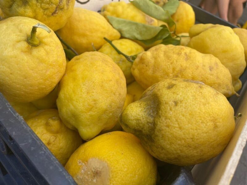 Civitavecchia: Historical and Culinary Walking Tour - Final Verdict