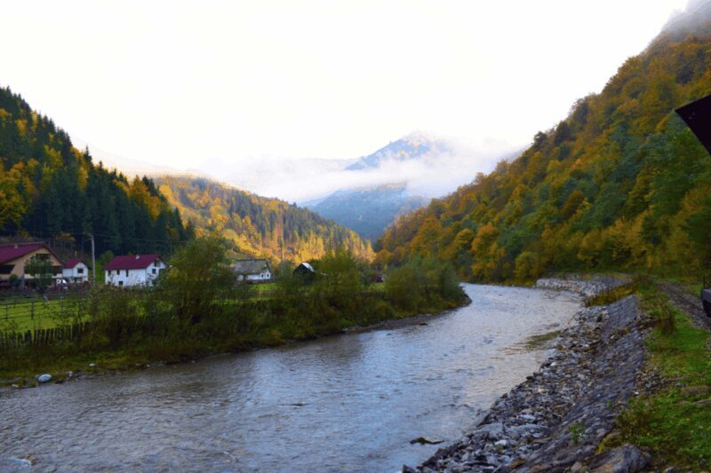 CJ03 - Day trip to Maramures Mocanita Train from Cluj Napoca - A Deep Dive into the Experience