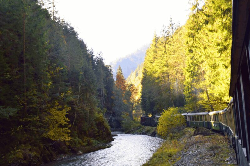 CJ03 - Day trip to Maramures Mocanita Train from Cluj Napoca - Who Will Love This Tour?