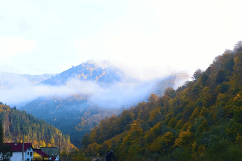 CJ03 - Day trip to Maramures Mocanita Train from Cluj Napoca - Final Thoughts