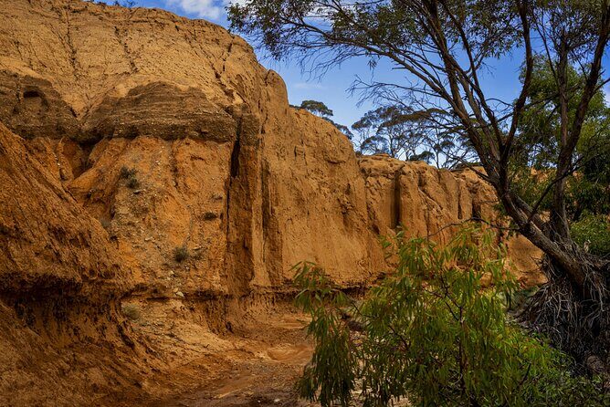 Clare Valley to Red Banks History and Landscape Day Tour - Key Points