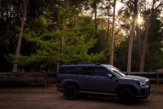 Clare Valley to Red Banks History and Landscape Day Tour - Price and Value