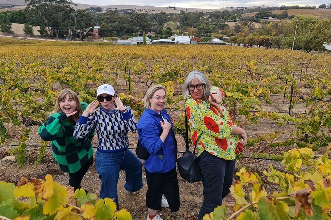 Clare Valley Wine Tour (Clare Valley pickup) includes lunch - Who Is This Tour Best For?