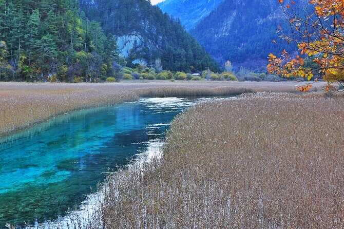 Classic 3-Day Jiuzhaigou Tour from Chengdu (Transport+Tickets) - The Experience: Comfort, Flexibility, and Local Flavor