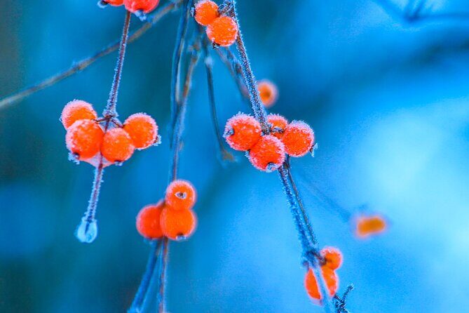 Classic 3-Day Jiuzhaigou Tour from Chengdu (Transport+Tickets) - Testimonials and Authentic Feedback