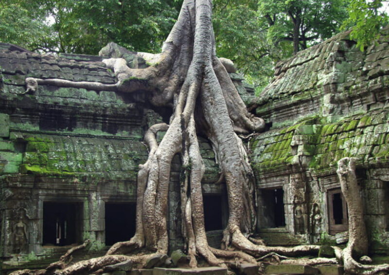 Classic Angkor Wat With Sunrise or Sunset Full Day Tour - Who Would Enjoy This Tour?