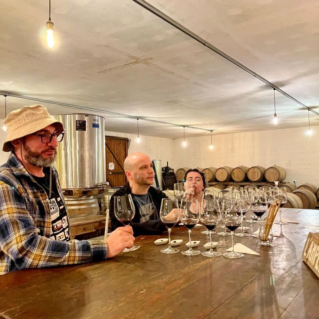 Classic car private tour : half day Margaux & Médoc - An In-Depth Look at the Médoc Luxury in a Classic Car