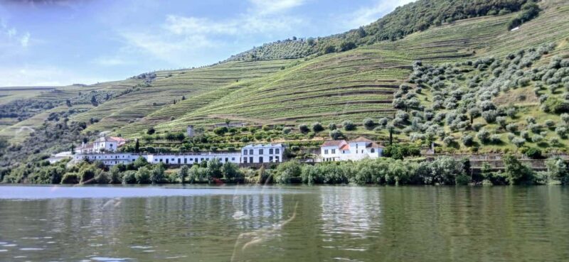 Classic Douro Tour: River, Train, Wine & Private Guide - The Practicalities