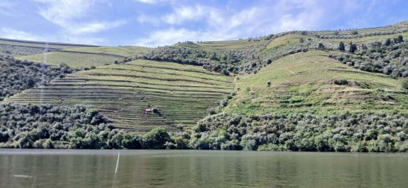 Classic Douro Tour: River, Train, Wine & Private Guide - In-Depth Breakdown of the Itinerary
