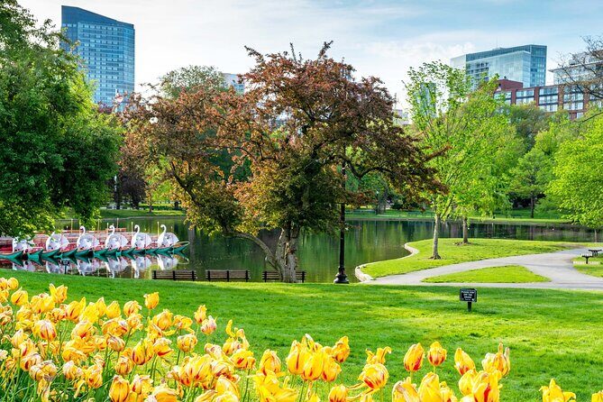 Classic Film and Television Locations Half Day Tour in Boston - Starting Line: Convenient Spot at the Four Seasons Hotel Boston