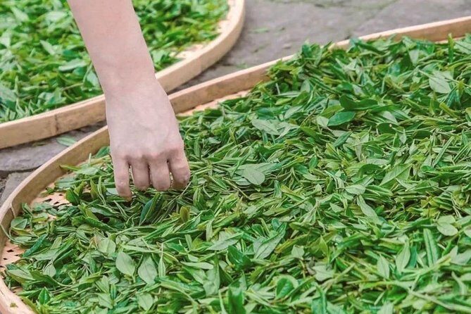 Classic Hangzhou Day Tour Plus Tea Plantation Exploration - A Deep Dive into the Tour Experience