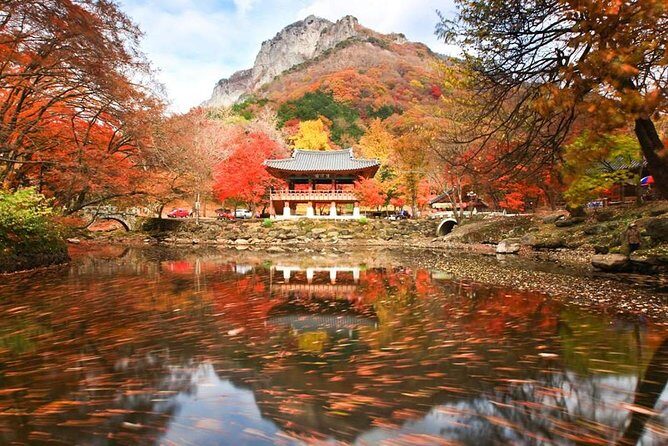 Classic Naejangsan National Park One Day Tour (Autumn Limited - Introduction