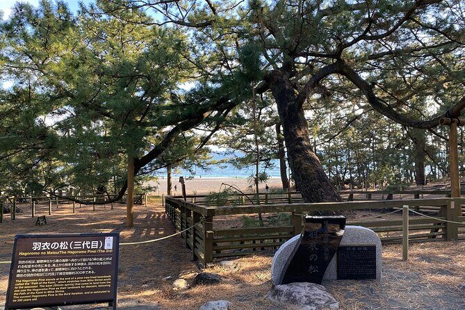 Classic Shizuoka with Mt.Fuji Viewing 1 Day Private Tour - Final Recommendations