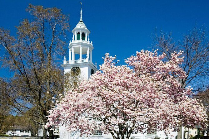 Classic Television and Sightseeing Locations 1 Day Tour in Boston - The Value Proposition