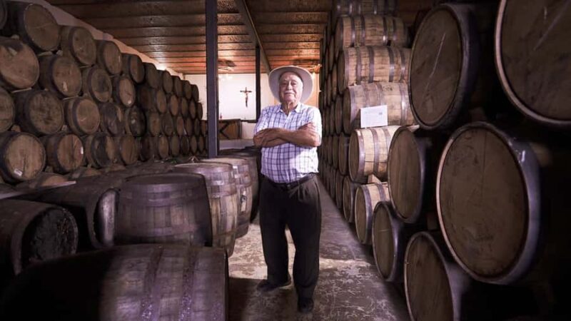 Classic Tequila Route Tour from Guadalajara and a few drinks at El Güero!!! - Who Should Take This Tour?