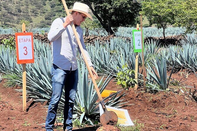 Classic Tequila Tour and CANTARITOS EL GÜERO - Key Points