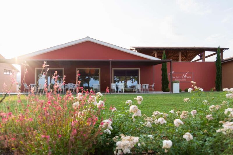 Classic Tour & Monovarietal Wines Tasting - Logistical Details