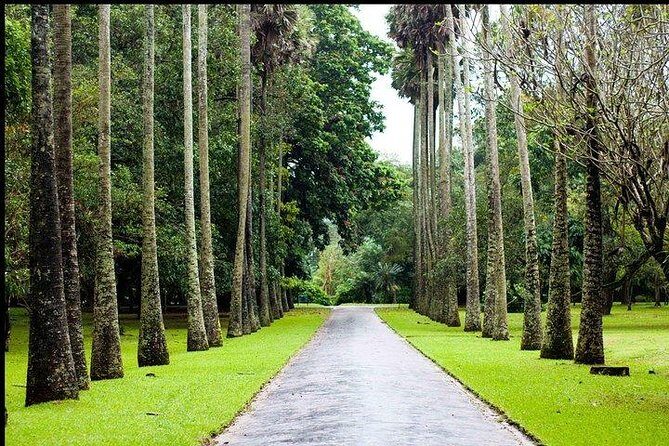 Classic Tour of 8 Days - Key Points