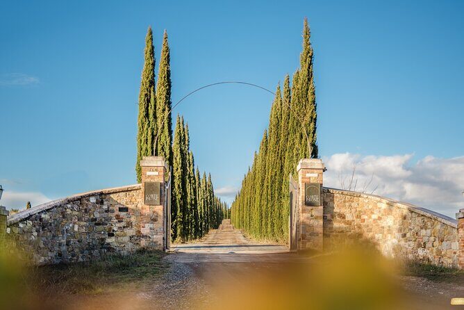 Classic Wine Tasting in Montalcino - Frequently Asked Questions (FAQs)