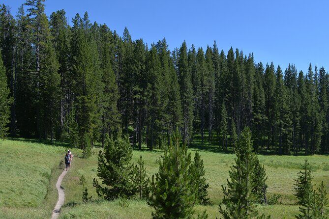 Classic Yellowstone Hike to the Shores of Lake Shoshone (Private - Key Points