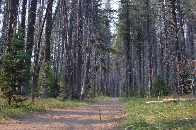 Classic Yellowstone Hike to the Shores of Lake Shoshone (Private - Group Dynamics and Flexibility