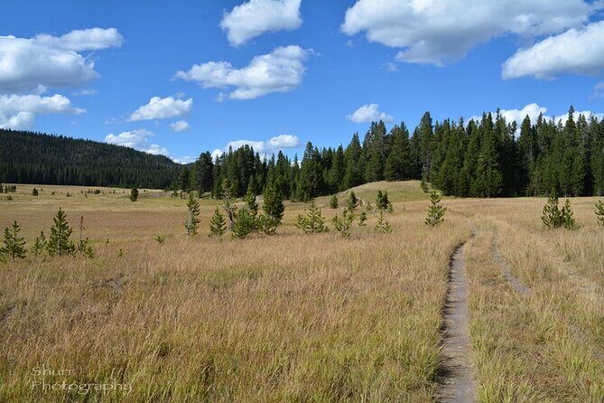 Classic Yellowstone Hike to the Shores of Lake Shoshone (Private - Cost and Value Analysis