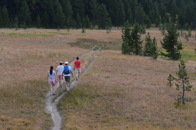 Classic Yellowstone Hike to the Shores of Lake Shoshone (Private - FAQ