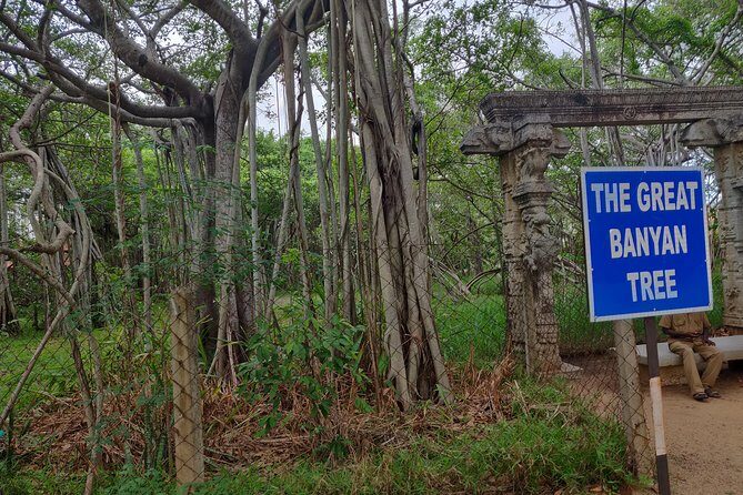 Classical Tamilnadu & Kerala 14 Days tour from Chennai - FAQs