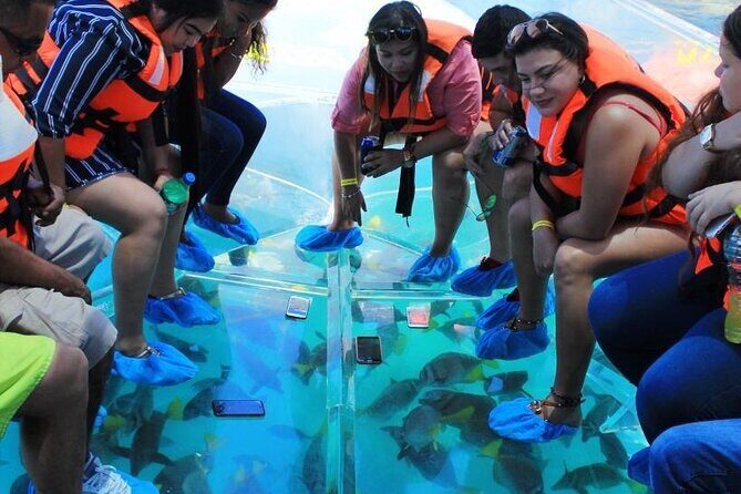Clear Boat Ride in Los Cabos - The Sum Up