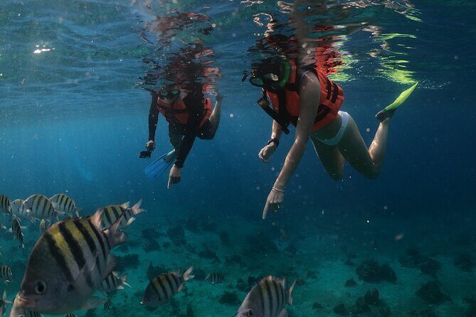 Clear Boat & Snorkel Cozumel Tour with Drinks - The Experience: What to Expect from Start to Finish