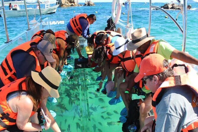 Clear Boat with City Tour - An In-Depth Look at the Tour