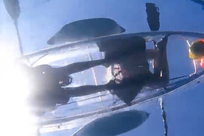 Clear Bottom Glassy Kayak Rental | MAUI | Safe and Stable Kayaks - Who Will Love This Experience?