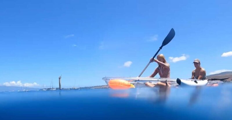 Clear Bottom Glassy Kayak Rental | Safe and Stable Kayaks - The Itinerary Breakdown