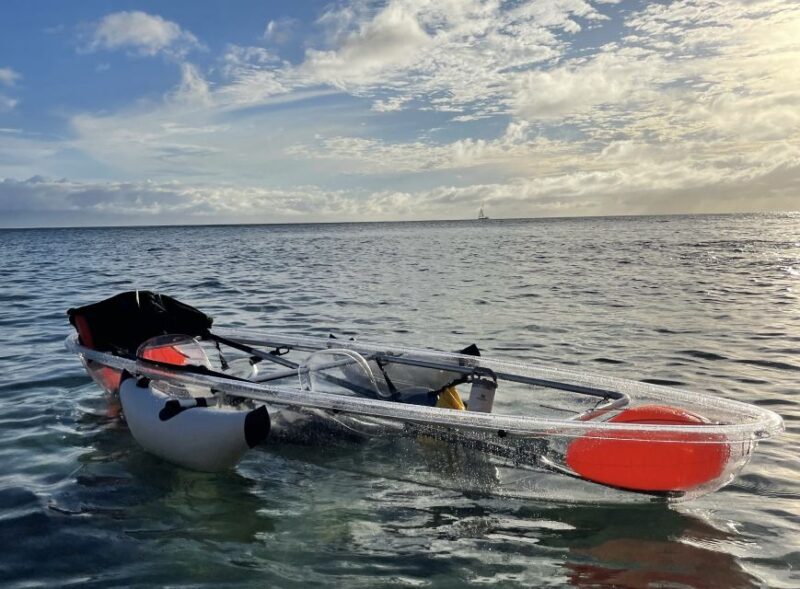 Clear Bottom Glassy Kayak Rental | Safe and Stable Kayaks - Authentic Experience? The Reality Check