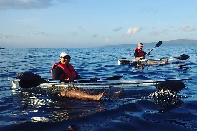 Clear Bottom Kayak and Snorkel Tour at Turtle Town, Makena - The Marine Life: Turtles and More