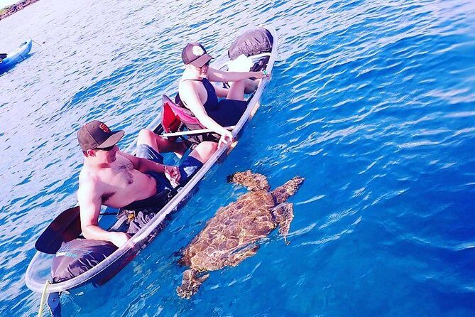 Clear Bottom Kayak and Snorkel Tour at Turtle Town, Makena - Who Would Benefit Most from This Tour?