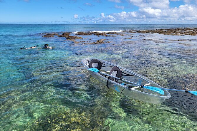 Clear Bottom Kayak - Guaranteed to see Turtles! - An in-depth look at the tour experience