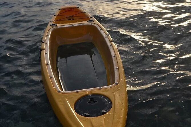 Clear Bottom Kayak Rental for Kings Bay Three Sisters Springs - Introduction