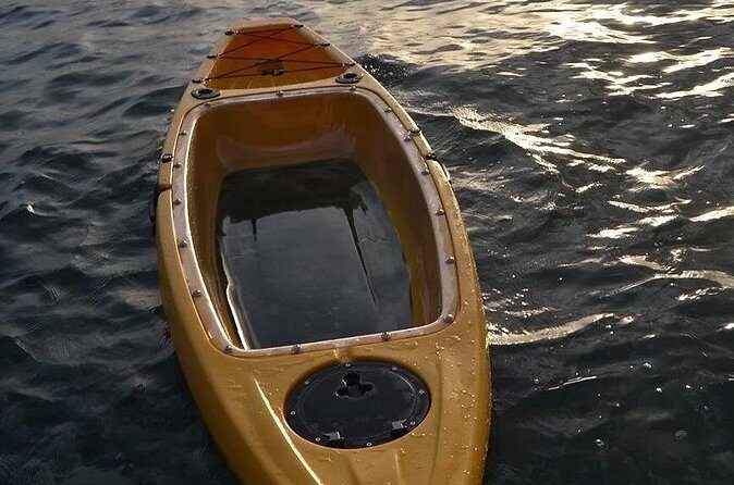 Clear Bottom Kayak Rental for Kings Bay Three Sisters Springs - The Meeting Point and Logistics