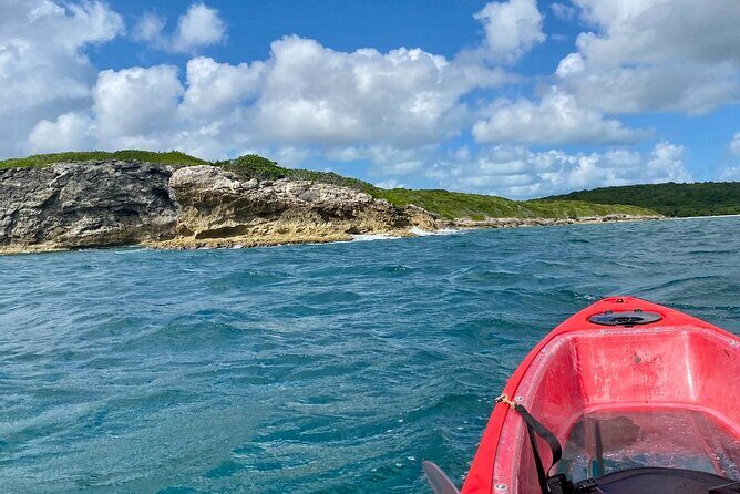 Clear Bottom Kayaking and Snorkel Reef Exploration - A Detailed Look at the Experience