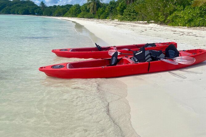 Clear Bottom Kayaking and Snorkel Reef Exploration - Final Thoughts