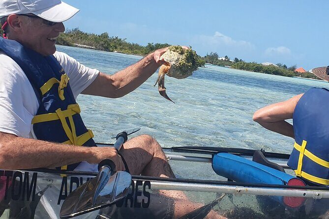 Clear Bottom Kayaks Mangrove Tour - Who Should Consider This Tour?