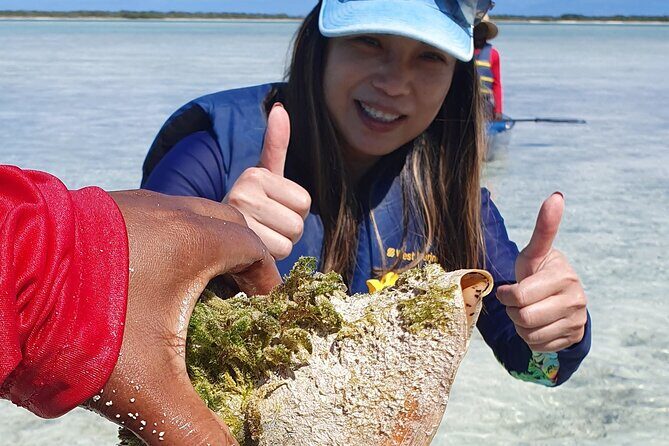 Clear Bottom Kayaks Mangrove Tour - FAQ About the Clear Bottom Kayak Mangrove Tour