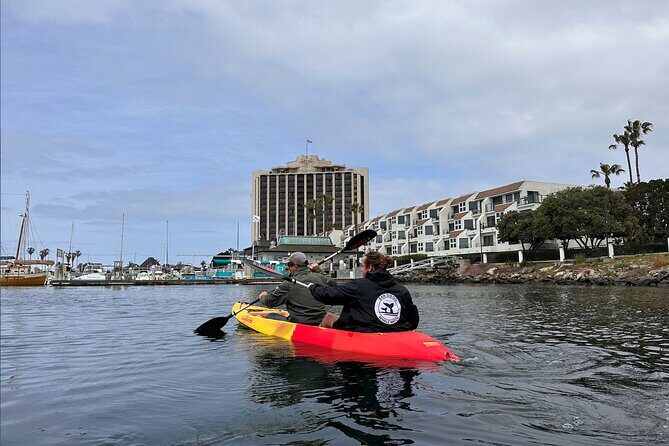 Clear Bottomed Kayak Rentals in San Diego - Key Points