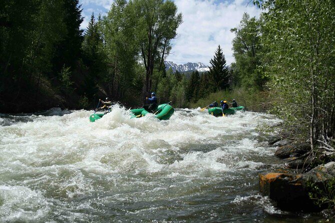 Clear Creek Whitewater Rafting Trip: Advanced Challenge - Practical Details and Considerations