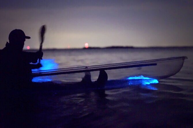 Clear Kayak Bioluminescence Tour - Cocoa Beach - What to Expect During the Tour